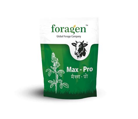 Fodder Lucerne Packaging Type Packet Grade Feed Grade At ₹ 600 Kg