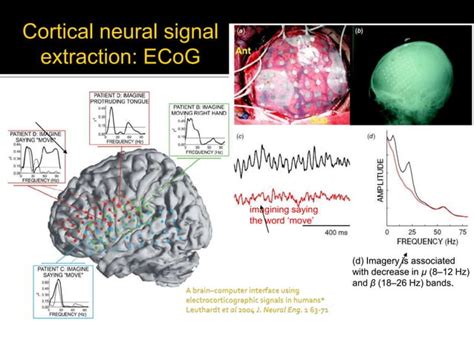 brain machine interfacenew ppt