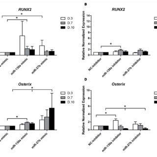 The Expression Of Osteogenic Specific Markers RUNX2 Osterix And