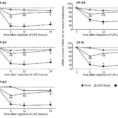 Regulatory T Cell Development The Phenotype Of Different Stages Of