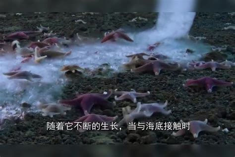 海洋里的“死亡冰柱”，从海面直入海底，所到之处无一生还！