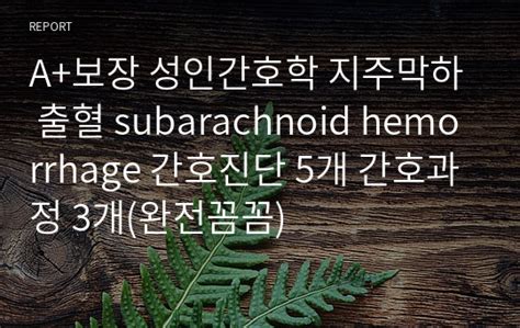 A보장 성인간호학 지주막하 출혈 Subarachnoid Hemorrhage 간호진단 5개 간호과정 3개완전꼼꼼 레포트
