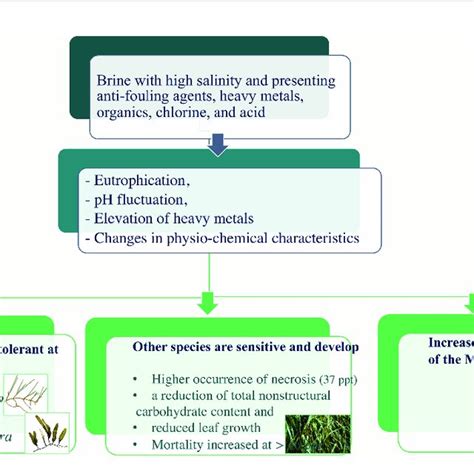 Physicochemical Composition Of The Desalination Brine Download Scientific Diagram
