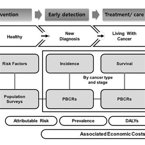 Figure E Conceptual Framework Of Population Based Cancer Indicators And