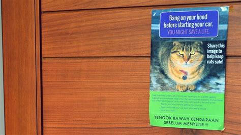 Oninyon Software Solution