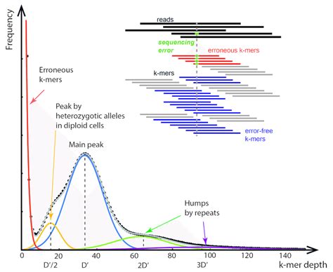 K Mer Histogram The X Axis Refers To The K Mer Depth Dk Which Download Scientific Diagram