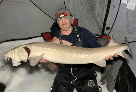 104” Rsturgeon
