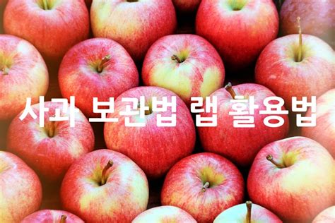 사과 보관법 랩 활용법 위즐