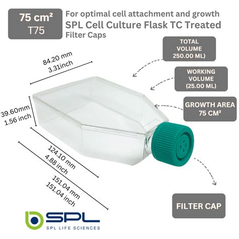 Spl Cell Culture Flask 75 Cm2 T75 Filter Cap Treated Sterile 100 Case Pro Lab Supply Corp