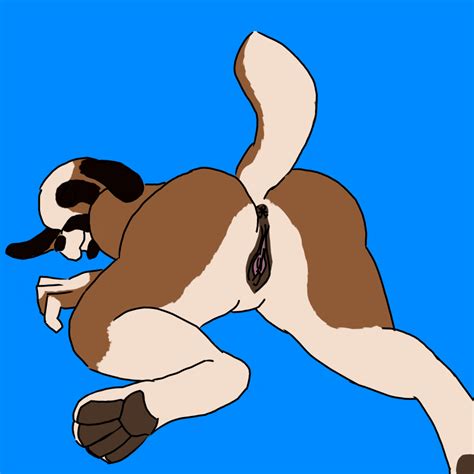 Rule 34 Absurd Res Anthro Anus Canid Canine Canis Domestic Dog Female