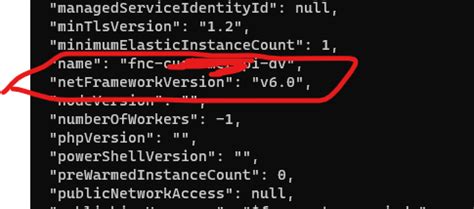 Upgrading From V To V Azure Function Results In Custom Setting