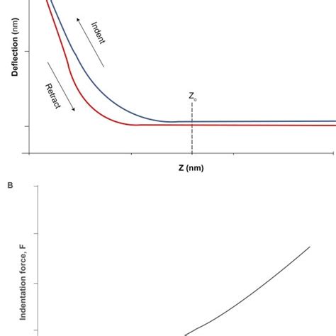 The Afm Cell Indentation Experiment A The Force Curve Obtained By