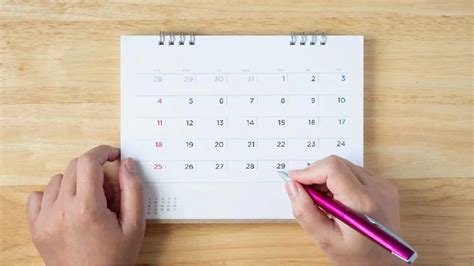 Fin de semana extra largo cuál es la diferencia entre un feriado y un
