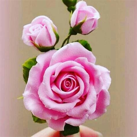 Marathi Beginners Youtube