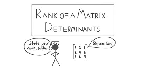 Lesson Rank Of A Matrix Determinants Nagwa