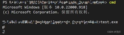 Vscode终端无法运行编译生成的exe文件解决方法vscode生成的exe无法运行 Csdn博客