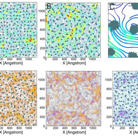 Protein Clustering Analysis For The Planar Bacterial Membrane Model Download Scientific