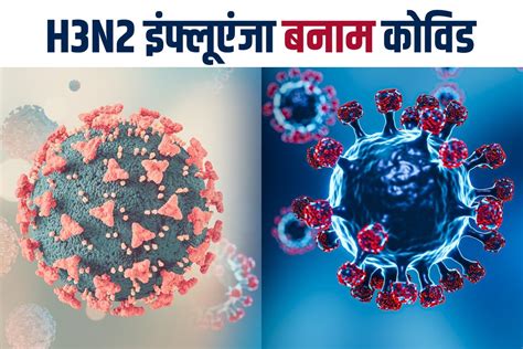 H3n2 Vs Covid19 जानें कोविड19 और इंफ्लूएंजा के लक्षणों में क्या अंतर
