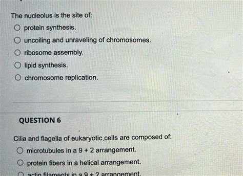 [answered] The Nucleolus Is The Site Of O Protein Synthesis O Uncoiling