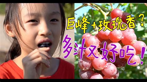 巨玫瑰葡萄你吃过吗？又香又甜！ Youtube