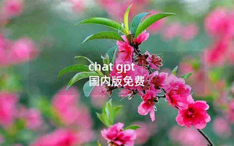 Chatgpt Chatgpt Chatgpt Chatgpt
