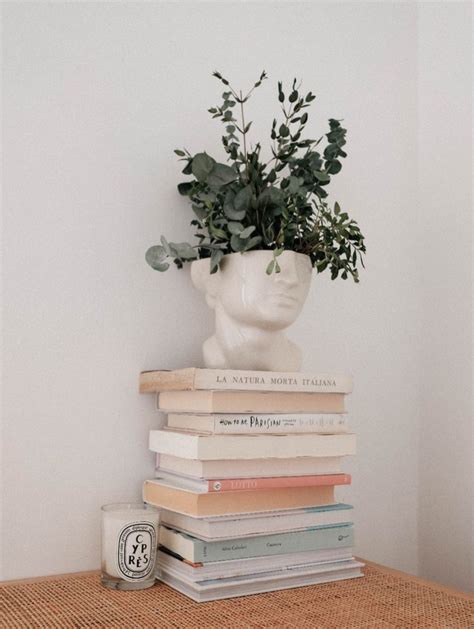 Anatomia On Tumblr
