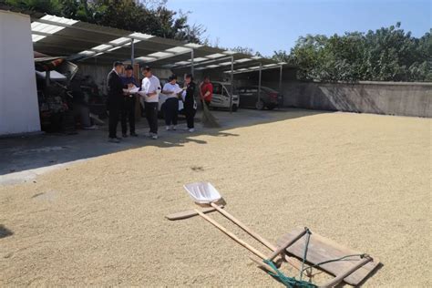 【安全感满意度“双提升”】含山法院持续开展群众安全感满意度“双提升”宣传活动澎湃号·政务澎湃新闻 The Paper