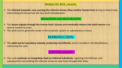Filariasis Transmissiontypessymptomspreventionmcqspptx