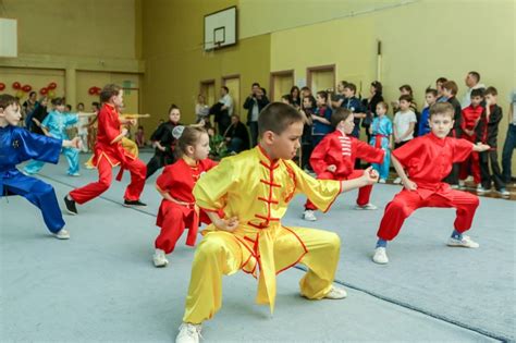 Плюсы и минусы ушу | wikifight.ru