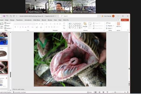 Alumni Mengajar Dr Amir Hamidy Berbagi Pengetahuan Di Kuliah Tamu