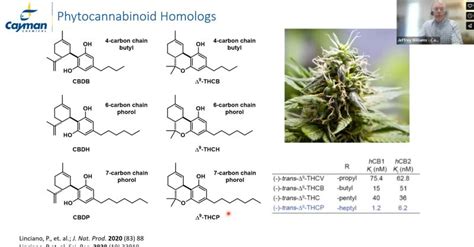 Thc Isomers Homologs Analogues Cayman Chemical