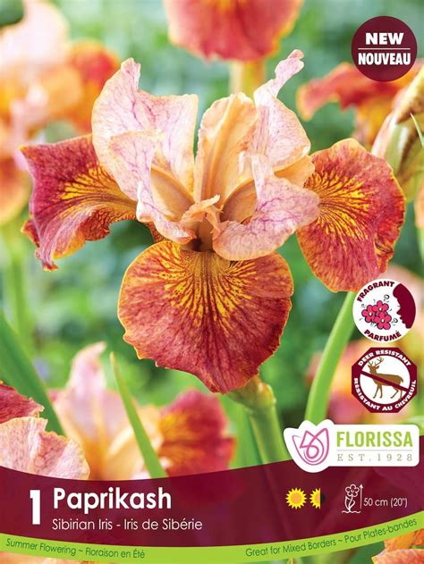 Iris Bulbs Top Quality Best Selection Canada Wide Shipping