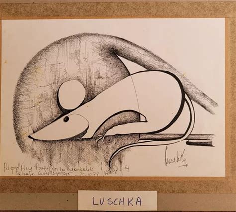 Obra De Luschka Mercadolibre