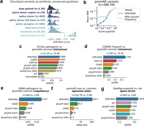 Gpn Msa An Alignment Based Dna Language Model For Genome Wide Variant Effect Prediction Pubmed