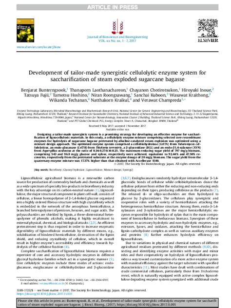 Pdf Development Of Tailor Made Synergistic Cellulolytic Enzyme System