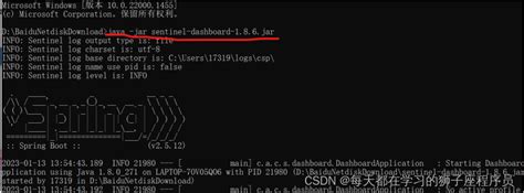 Sentienl一：下载，启动sentinel下载启动 Csdn博客