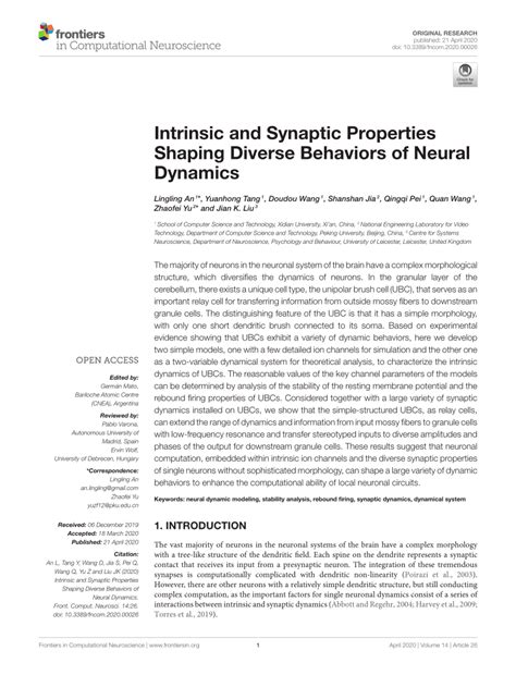 Pdf Intrinsic And Synaptic Properties Shaping Diverse Behaviors Of