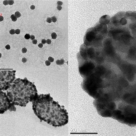 Left panel TEM images of Au@PEI-SiO2 and SiO2 NPs (right inset); the... | Download Scientific ...