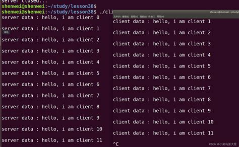 Linux程序设计之本地套接字通信本地套接字和共享内存 Csdn博客