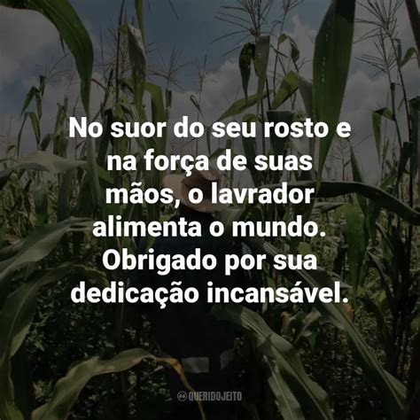 Dia Do Lavrador Frases Perfeitas Querido Jeito