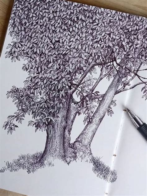 Detailed Tree Drawing With Pen
