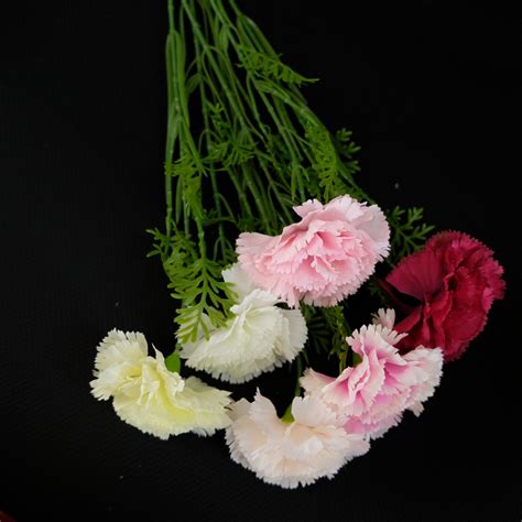53cm Carnation Stem Flower Ly16619