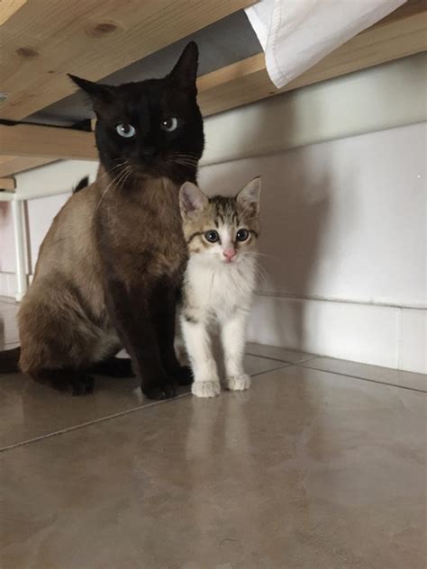 Dal With His Son 😍 Scrolller