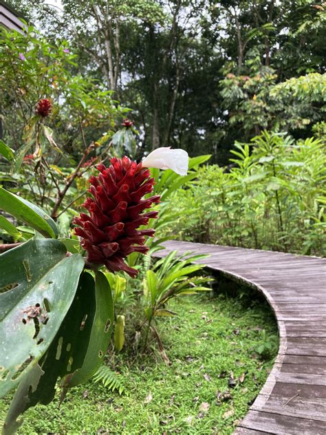 Our Connected World The Cycle Of Empathycompassion And Nature