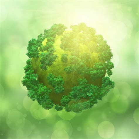 Polyester Polyols Kobe Polyurethane