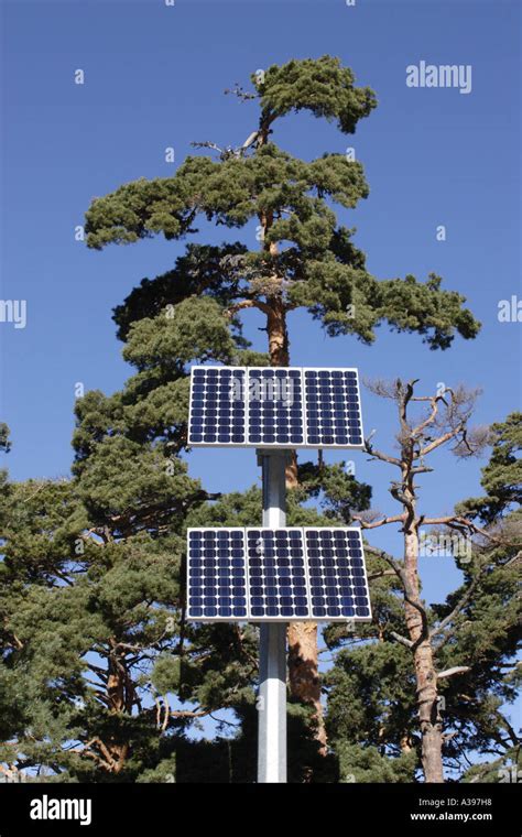 Solar Panels Alongside Tree Stock Photo Alamy