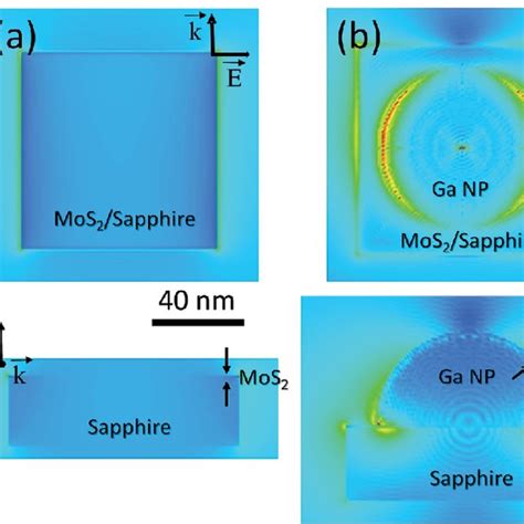 simulation of the near local electromagnetic field distribution derived
