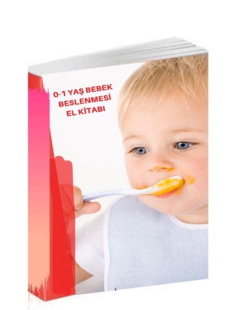 0 1 yaş bebek beslenmesi̇ ki̇tabi pdf