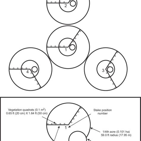 Plot Design Used By Region 1 Of The Usda Forest Service The 1 Ha Download Scientific Diagram