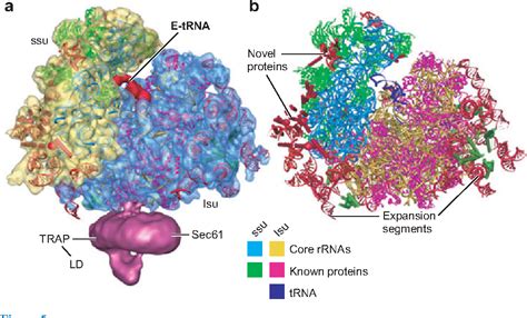 Figure 5 From Integrating Diverse Data For Structure Determination Of